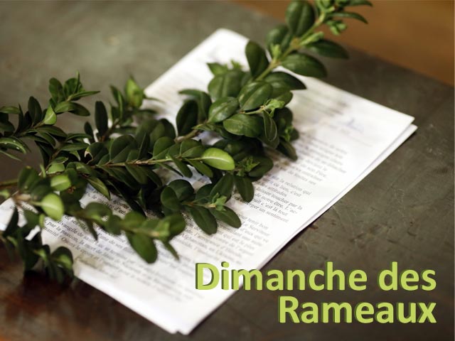 Rameaux – Entrée dans la semaine sainte | Église catholique autour de ...
